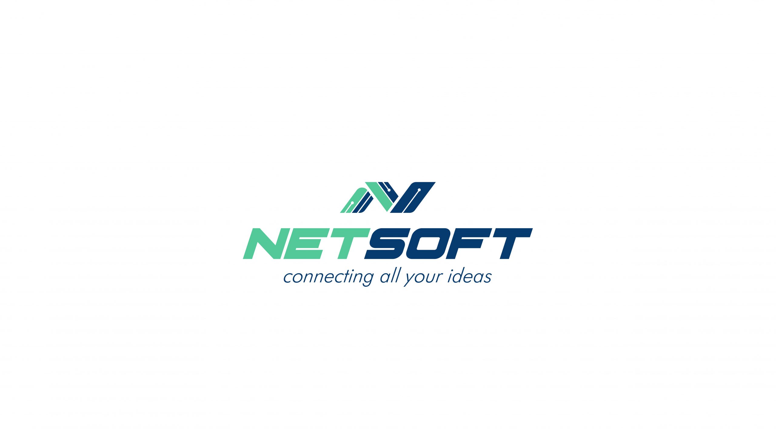 Net-Soft Los Cabos Company